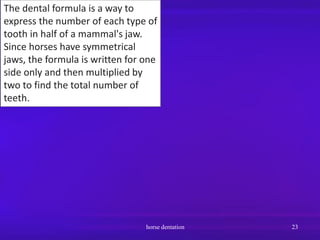 horse dentation horse dentation | PDF