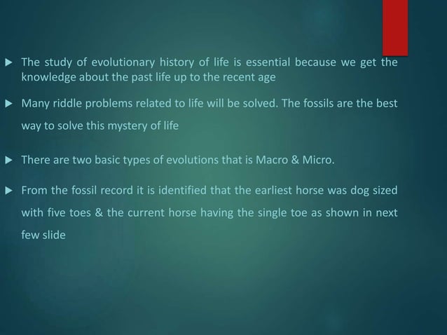 horse evolution.PPTX | Biological Sciences | Science