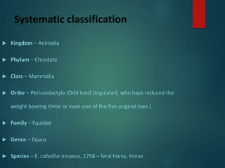 horse evolution.PPTX