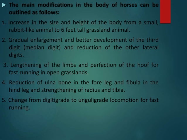 horse evolution.PPTX | Biological Sciences | Science