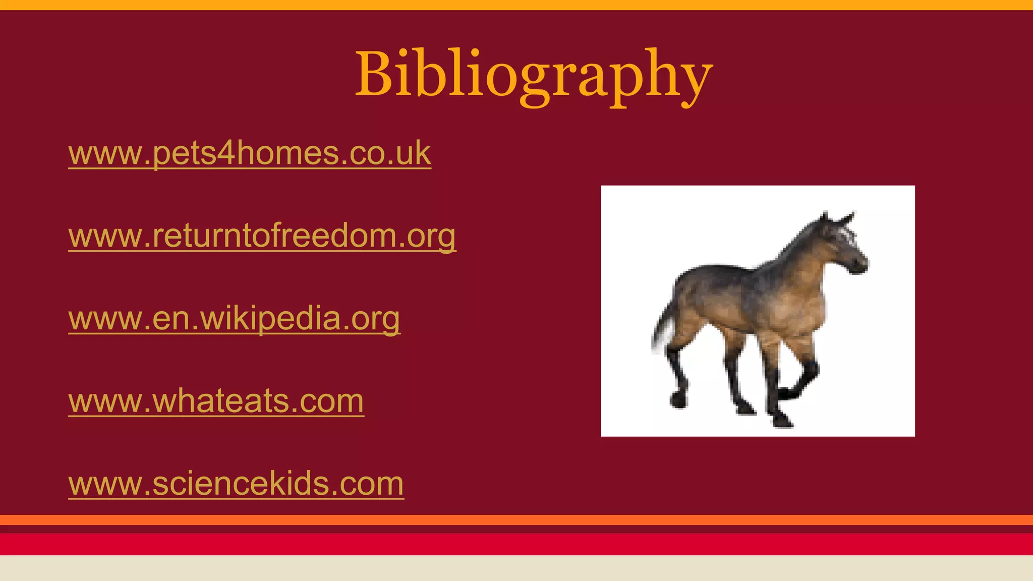 Horse facts presentation-estelle&liezl 287 | PDF