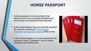 HORSE_GAMES,_HORSE_PASSPORT,_PREPARATION_OF[1].pptx