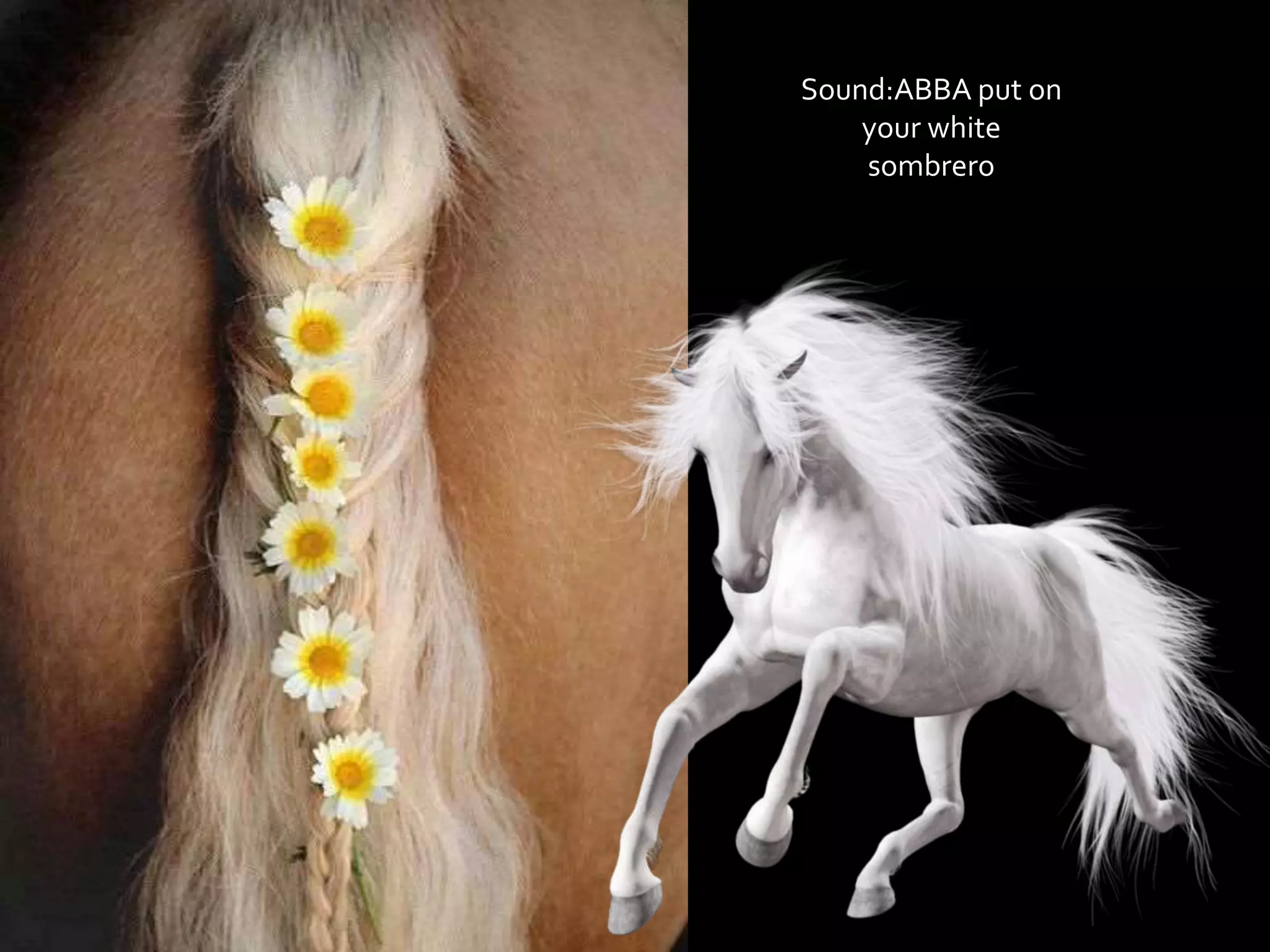 Horse Hair Style | PPTX