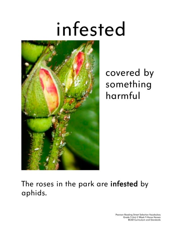 Horse heroes vocab with pics | PDF