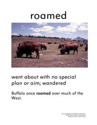 Horse heroes vocab with pics | PDF