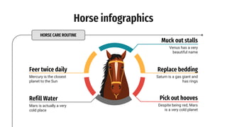 Horse Infographics by Slidemmmmmsgo.pptx