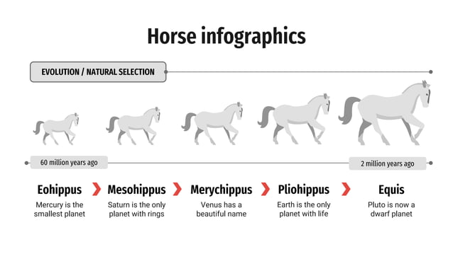 Horse Infographics by Slidemmmmmsgo.pptx