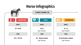 Horse Infographics by Slidemmmmmsgo.pptx