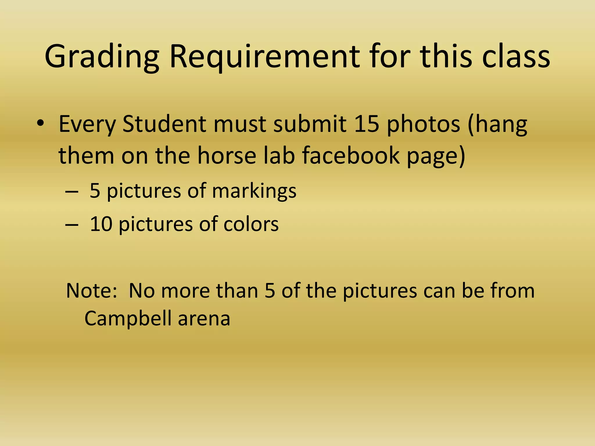 Horse colors and Markings | PPTX