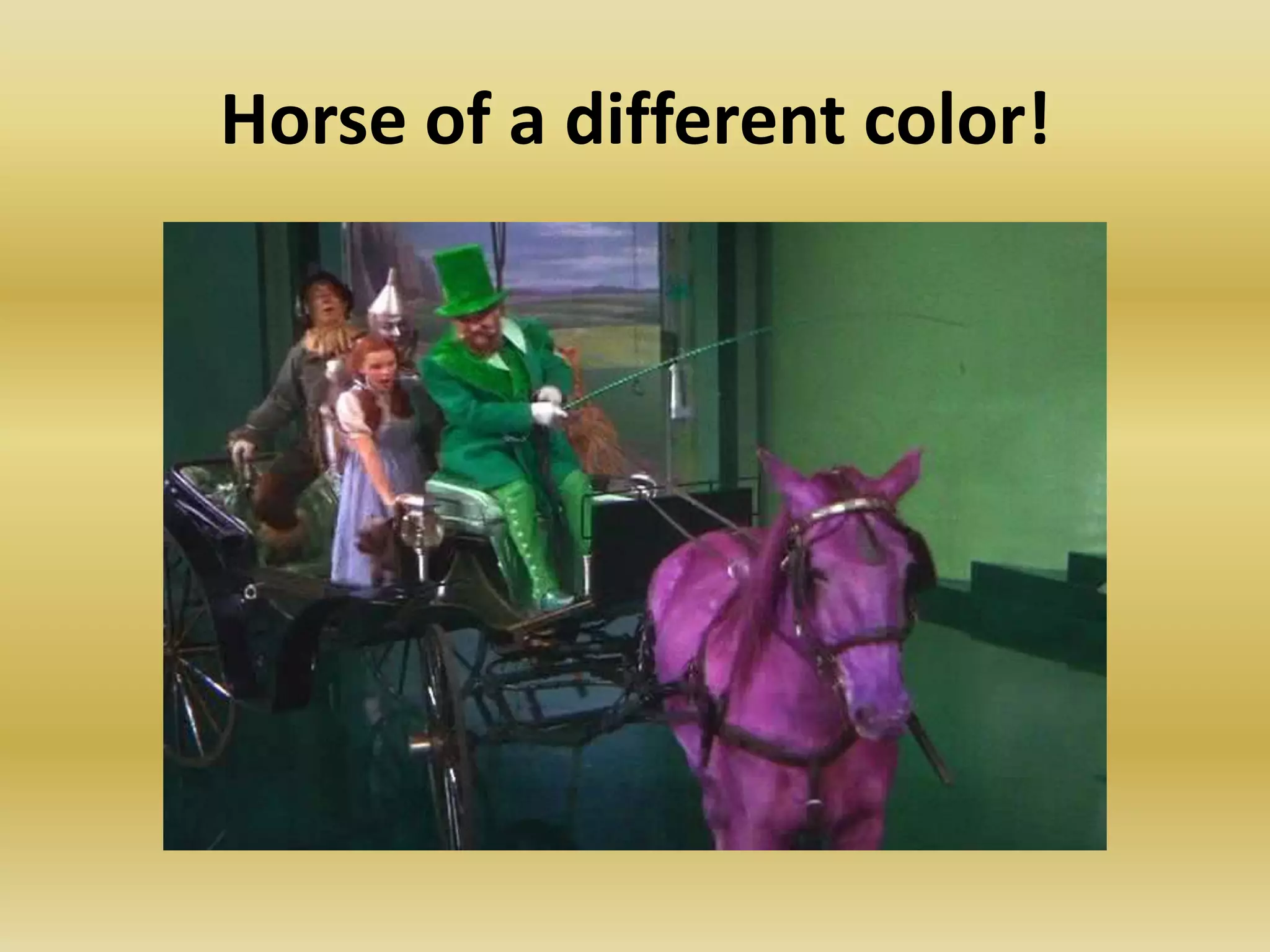 Horse colors and Markings | PPTX