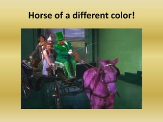 Horse colors and Markings | PPTX