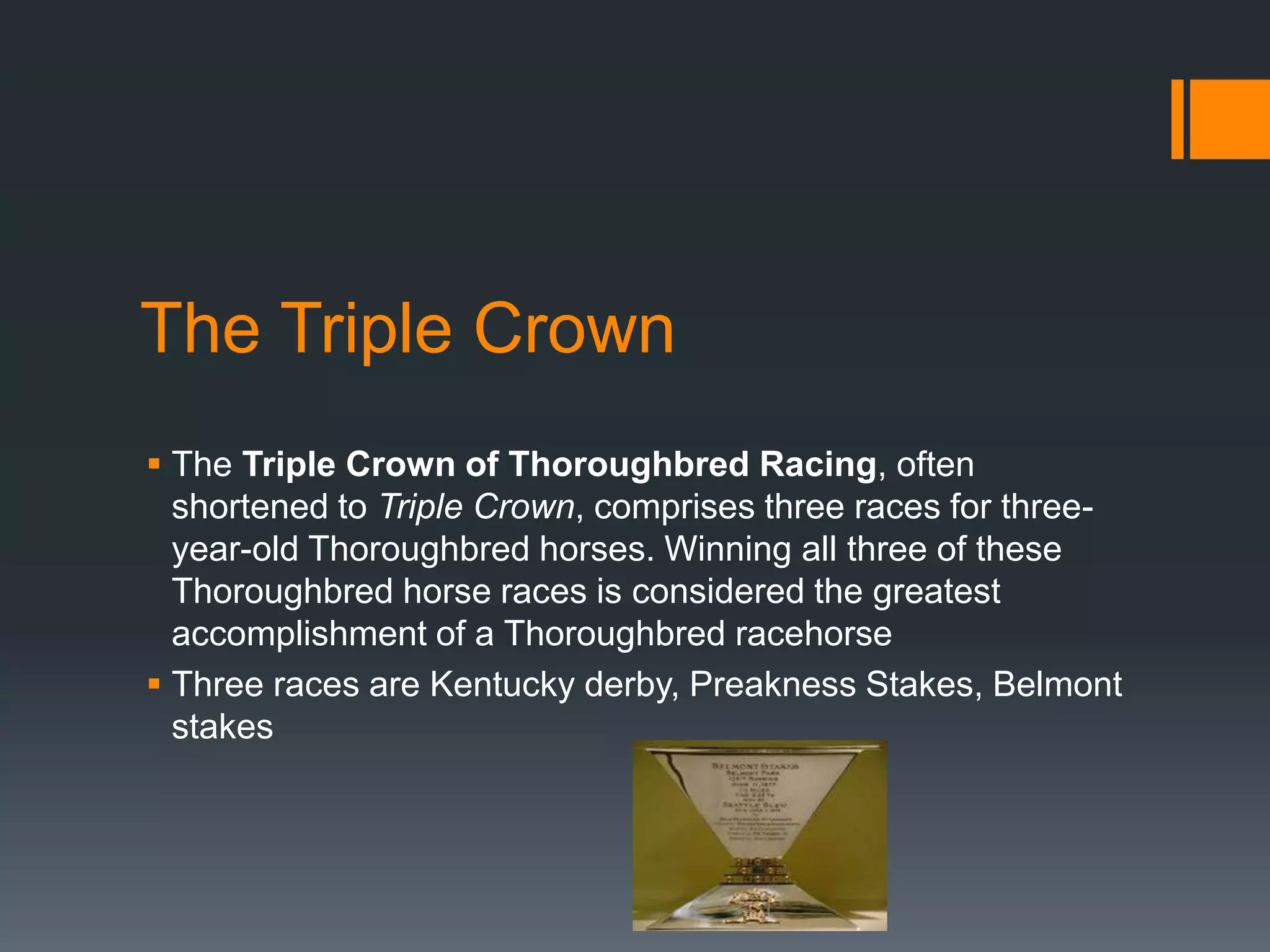 Horse racing presentation | PPTX