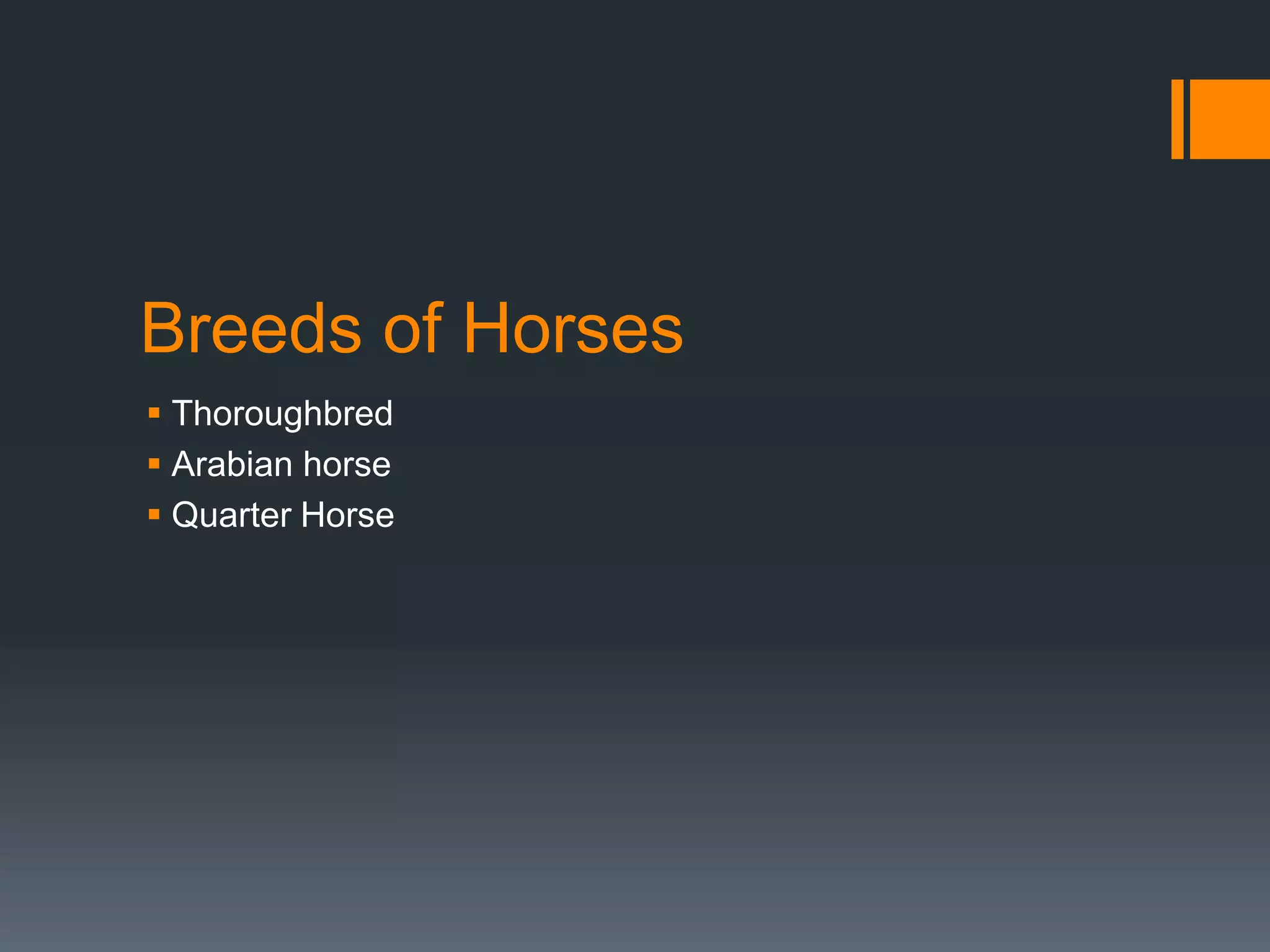 Horse racing presentation | PPTX