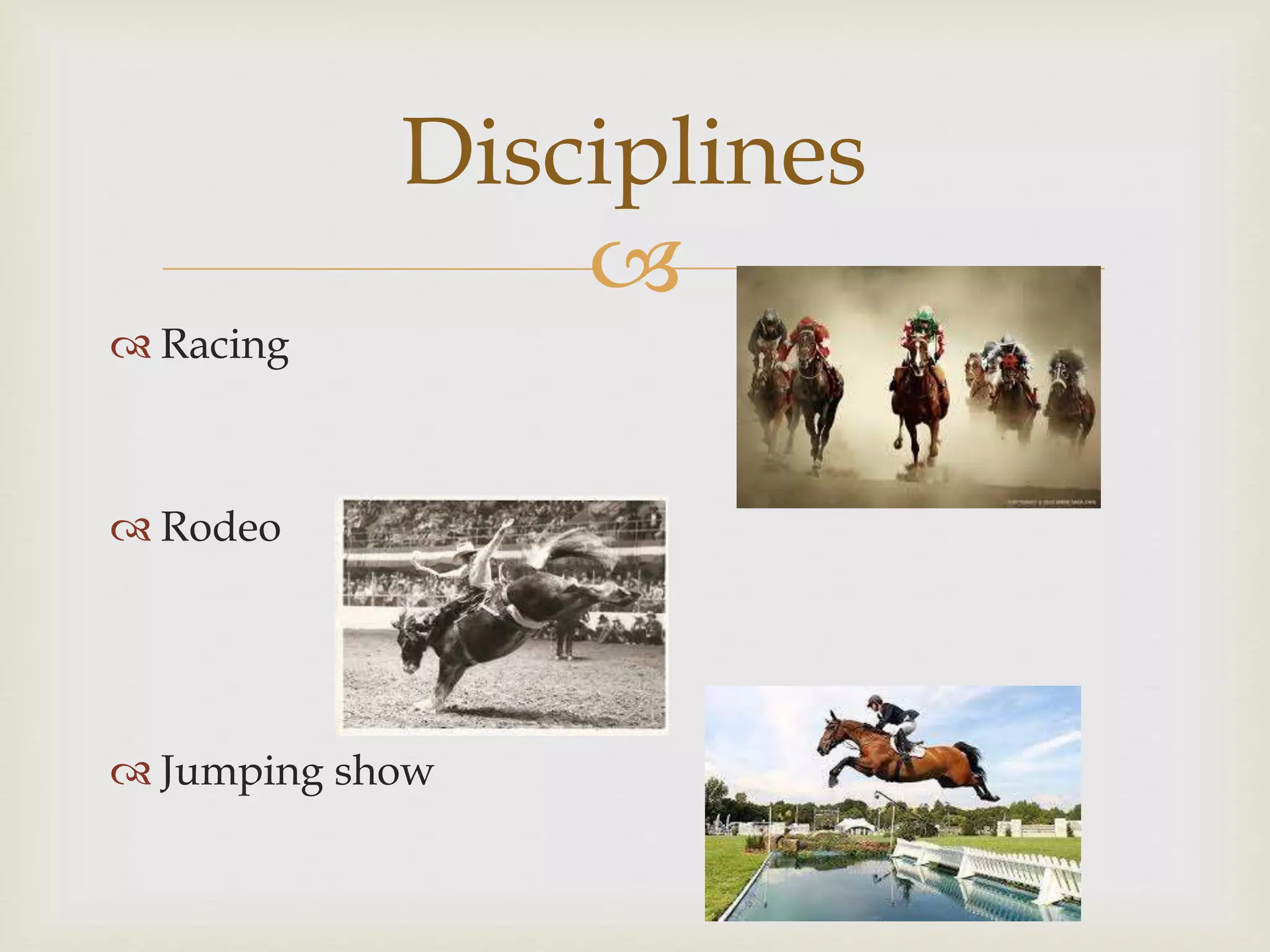 Horse riding | PPTX | Equine Sports | Sports