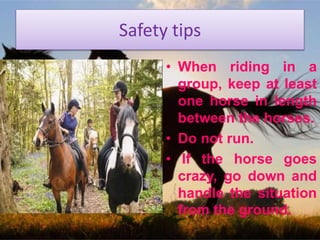 Horse riding | PPTX