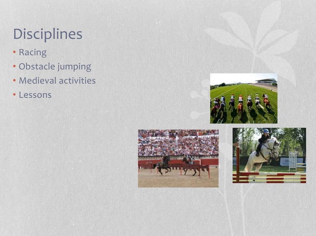 Horse riding | PPTX