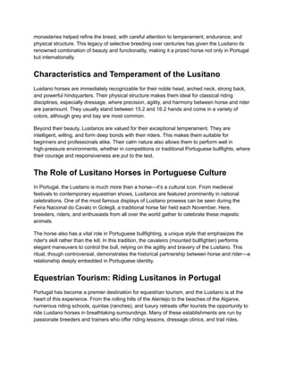Discover Traditional Lusitano Horses: The Heart of Horse Riding in ...