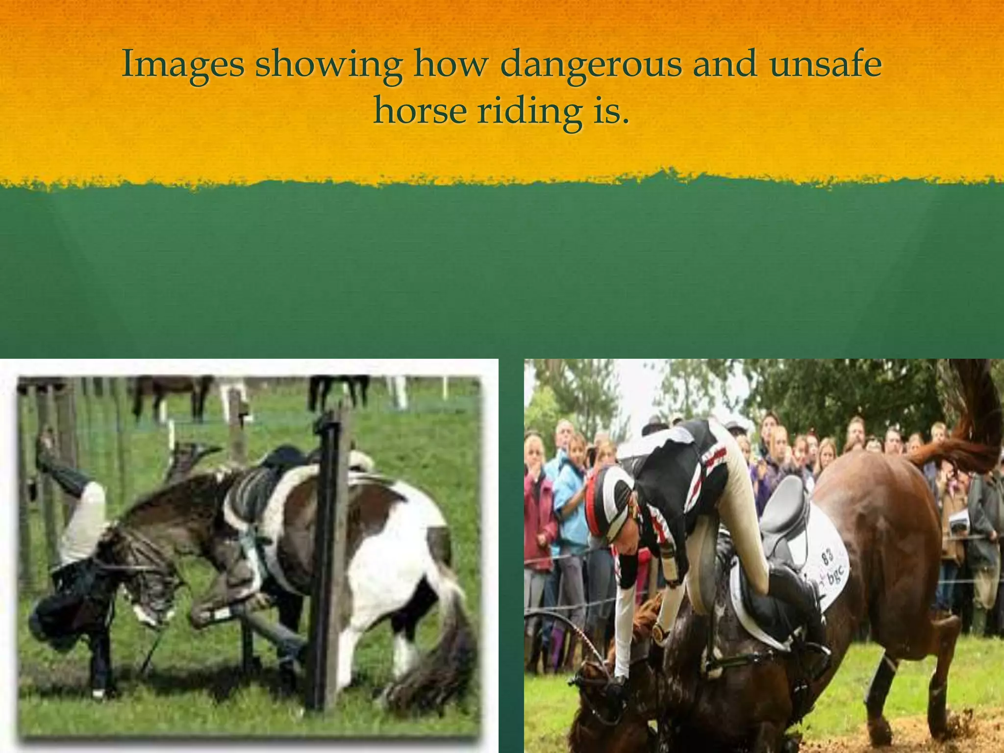 Horse riding presentation | PPTX