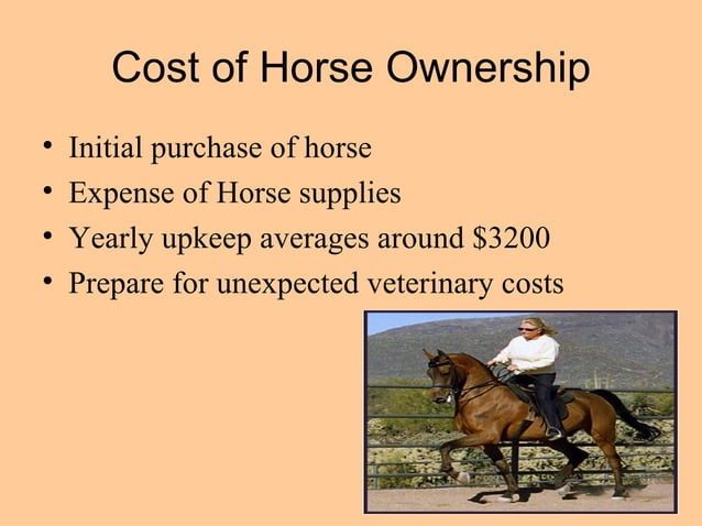 Horses | PPT