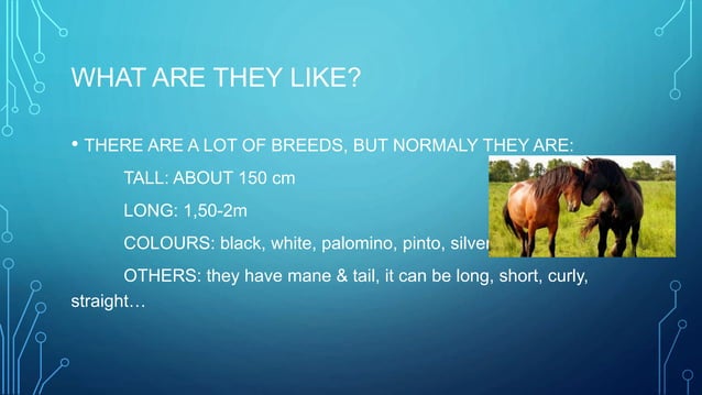 Horses | PPT