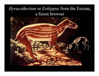 Horses | PDF
