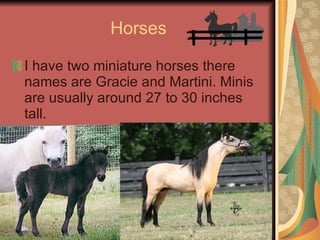 Horses (Tec Lab) | PPT