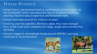 Horses | PPTX | Dogs | Pets