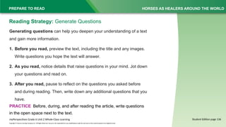 Horses as Healers Reading Comprehensions | PPTX