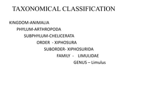 Horse shoe crab | PPTX