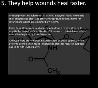 10 cool things about horseshoe crabs | PPTX