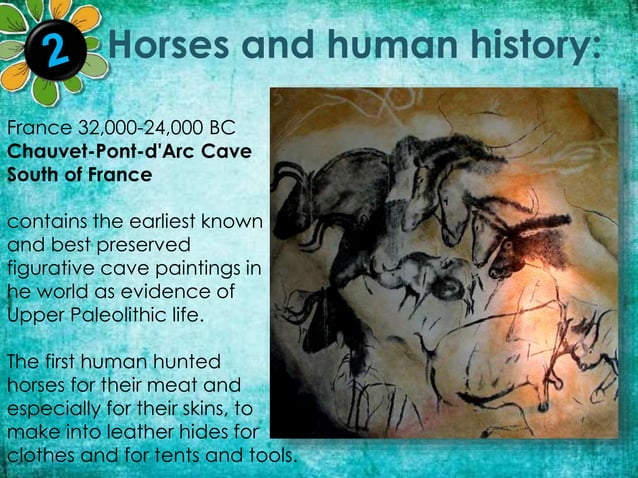 Horses School Project | PPTX