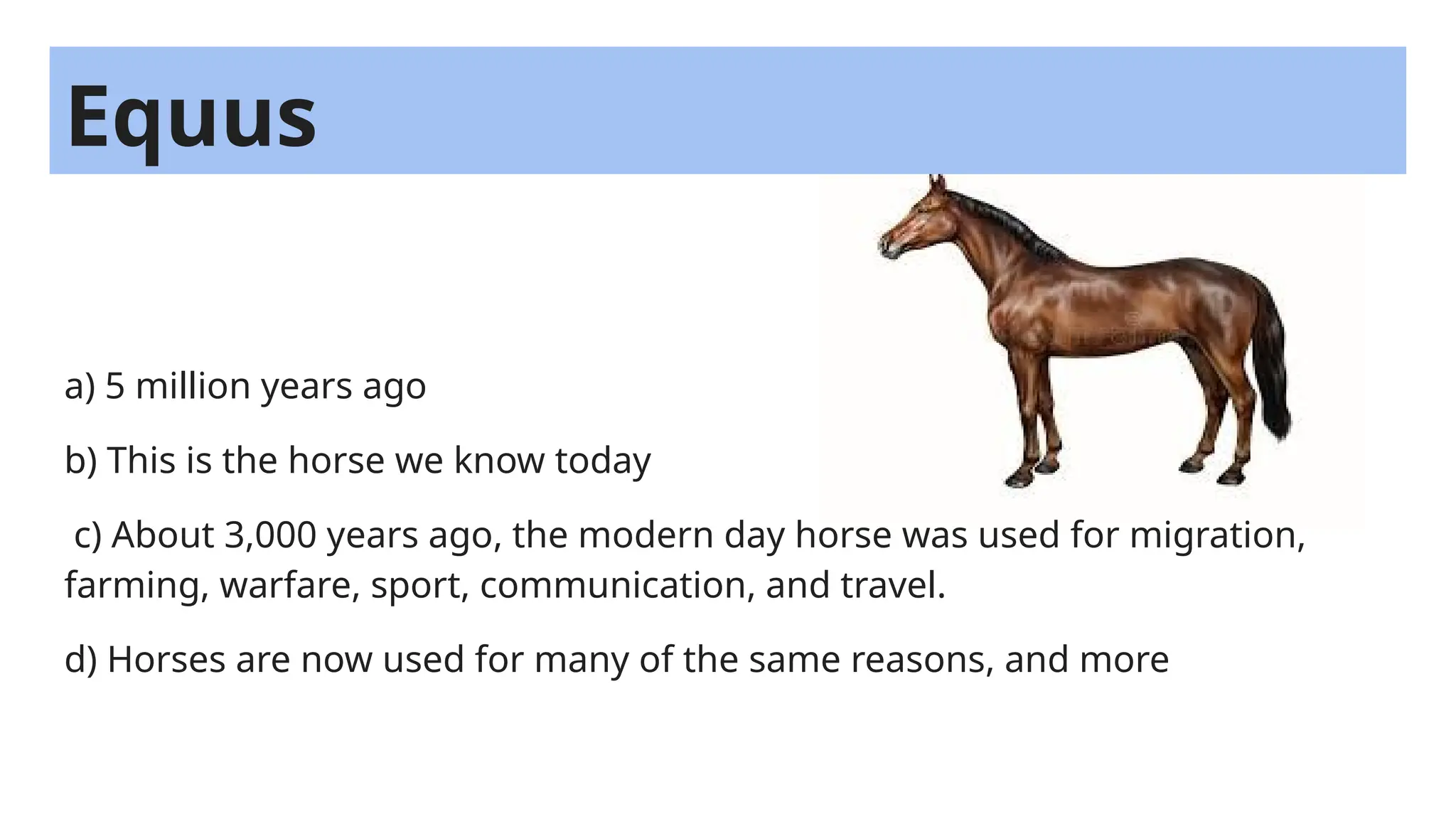 Horses Through History, horse evolution and humans and horses | PPTX