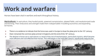 Horses Through History, horse evolution and humans and horses | PPTX