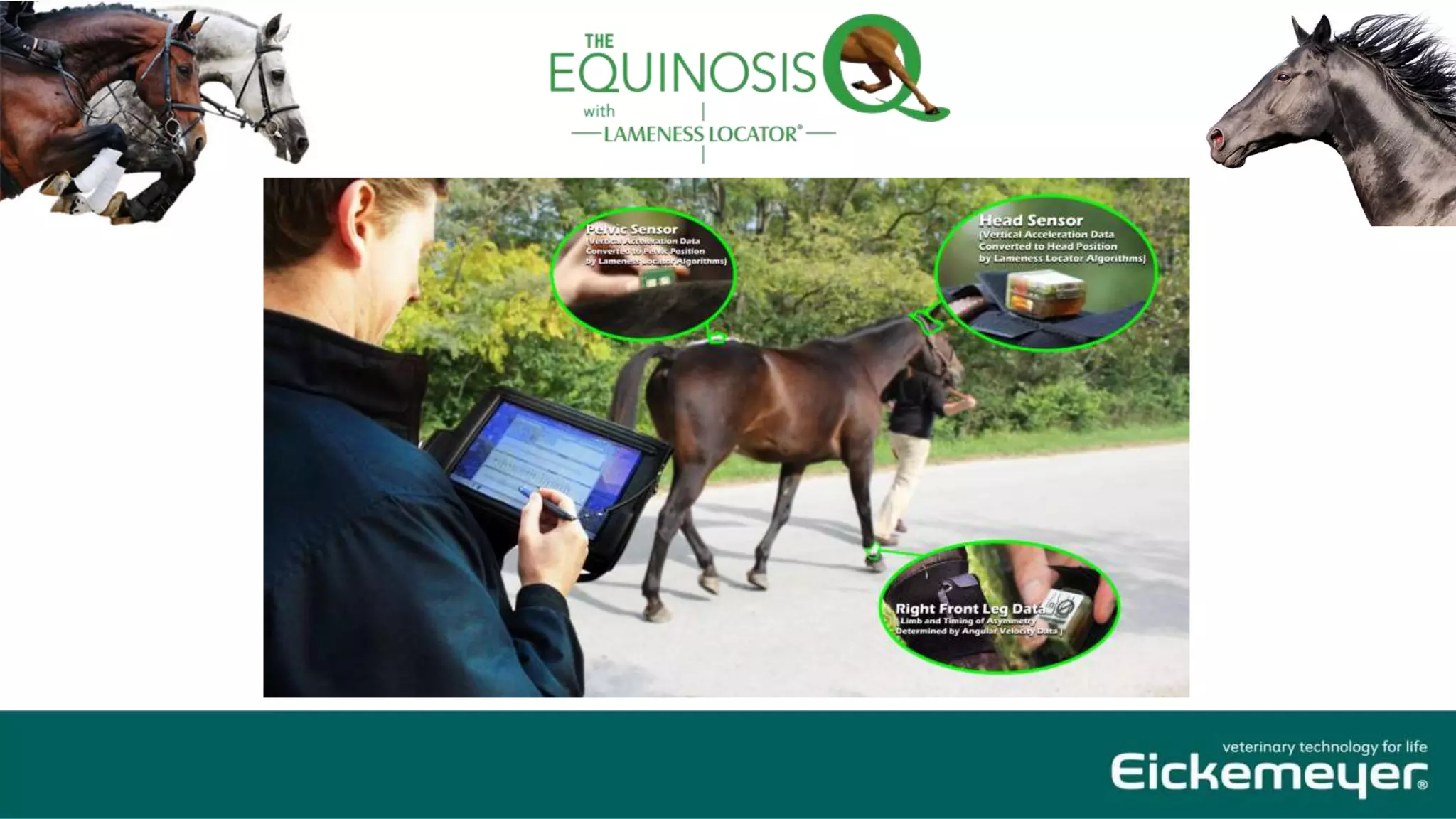 The Equinosis with Lameness Locator by Christina Frigast | PPTX