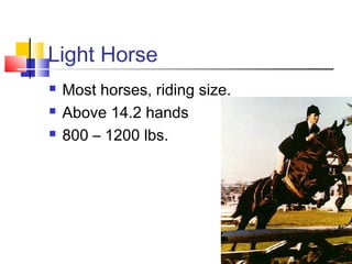 Horse terms | PPT