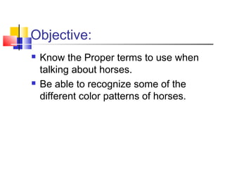 Horse terms | PPT