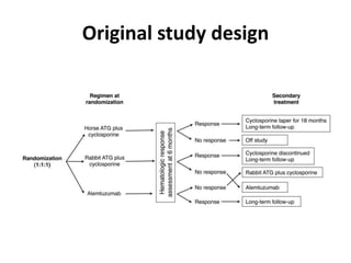 Horse versus rabbit atg | PPTX