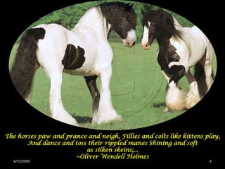 Horsey Quotes | PPSX