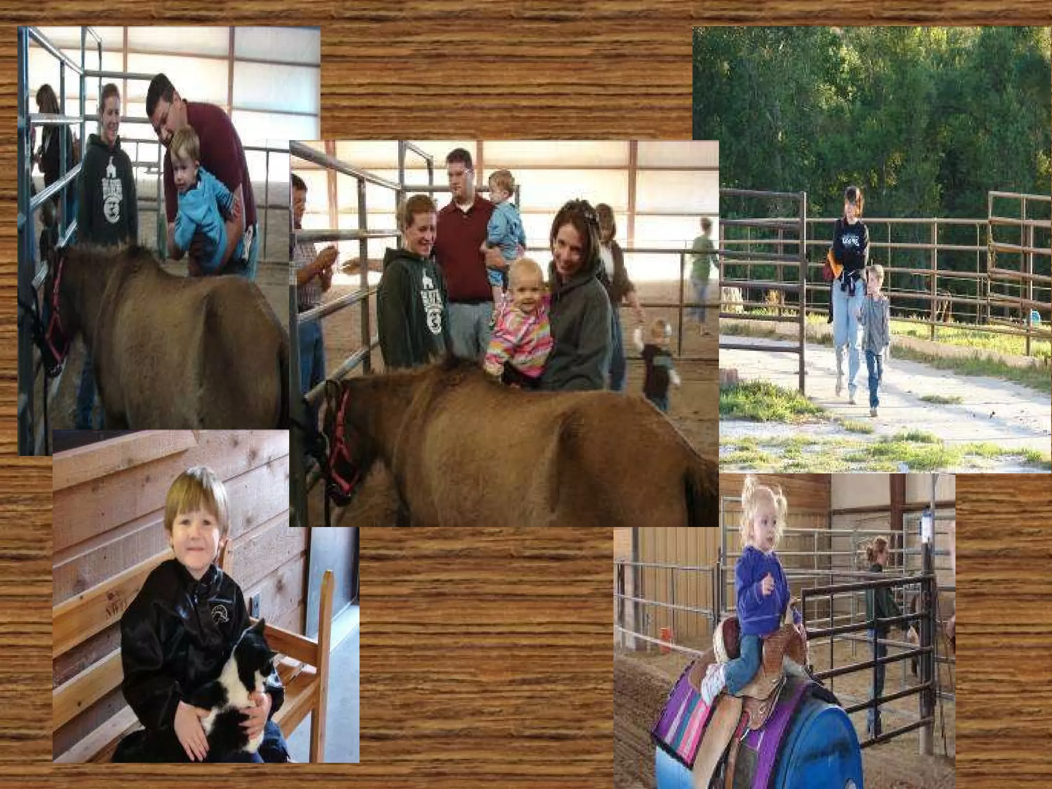 Horsing Around | PPT