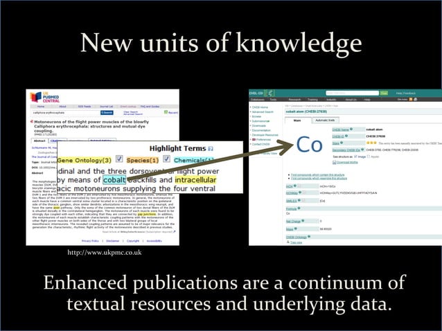 Horstmann digital strategies_for_21st_century_libraries | PPT