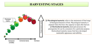INFLUENCE OF PREHARVEST PRACTICES, ENZYMATIC AND TEXTURAL CHANGES ...