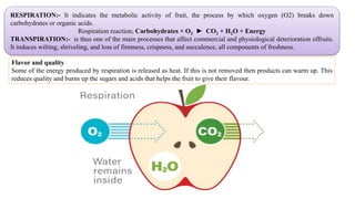 INFLUENCE OF PREHARVEST PRACTICES, ENZYMATIC AND TEXTURAL CHANGES ...