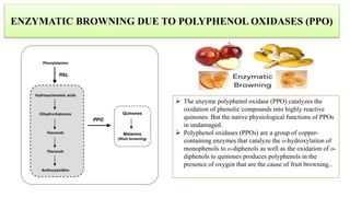 INFLUENCE OF PREHARVEST PRACTICES, ENZYMATIC AND TEXTURAL CHANGES, RESPIRATION AND TRANSPIRATION ...