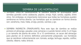 HORTALIZAS beneficios y proceso de .pptx