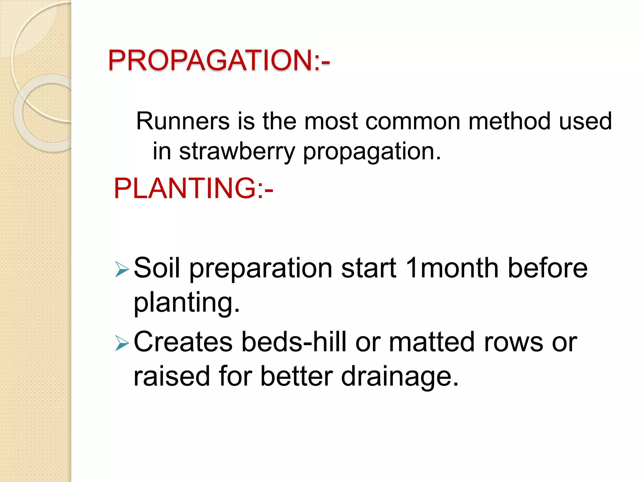 Production technology of strowberry | PPTX