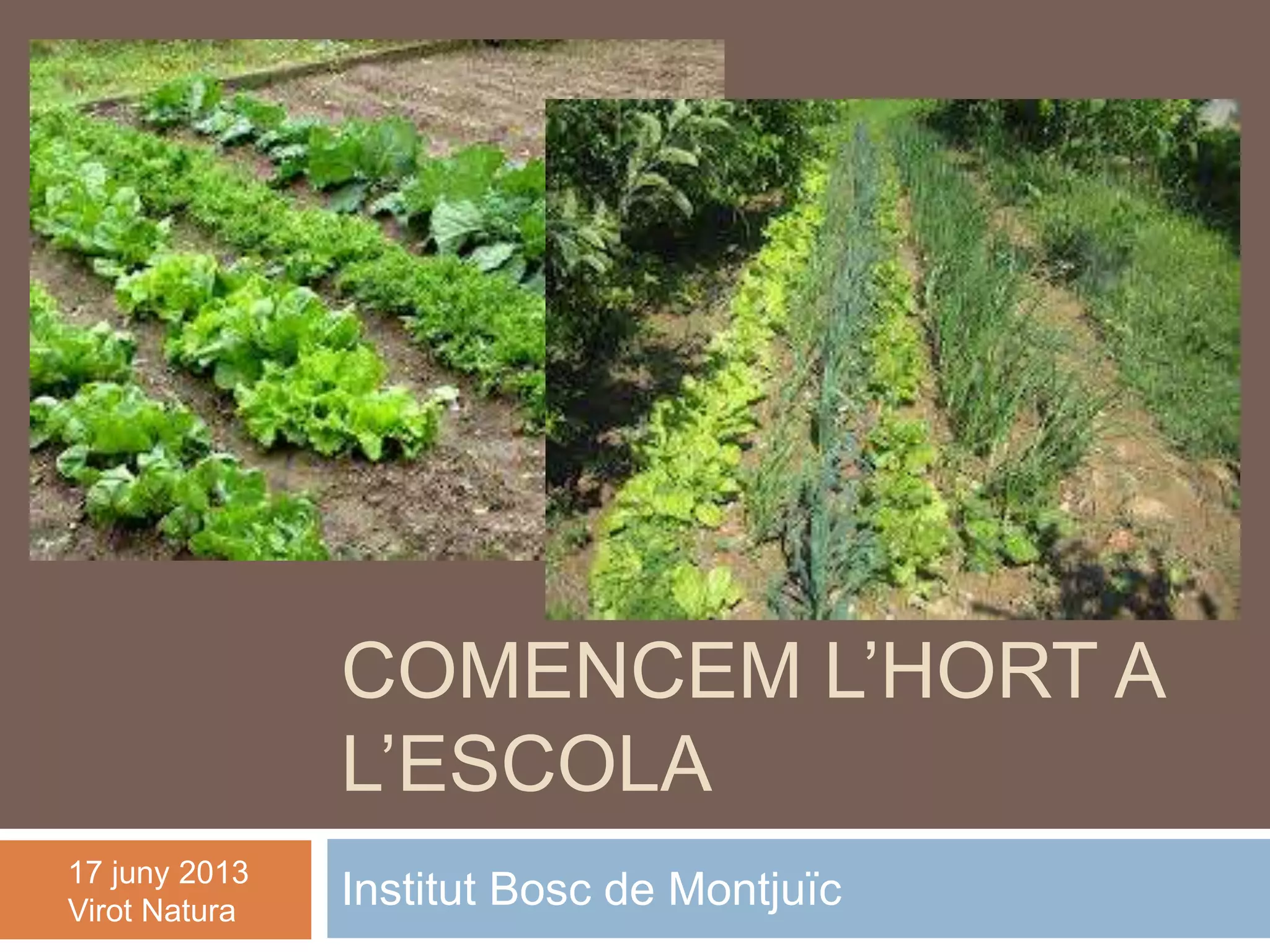 Hort escolar bosc montjuic (17 juny 2013) | PPTX
