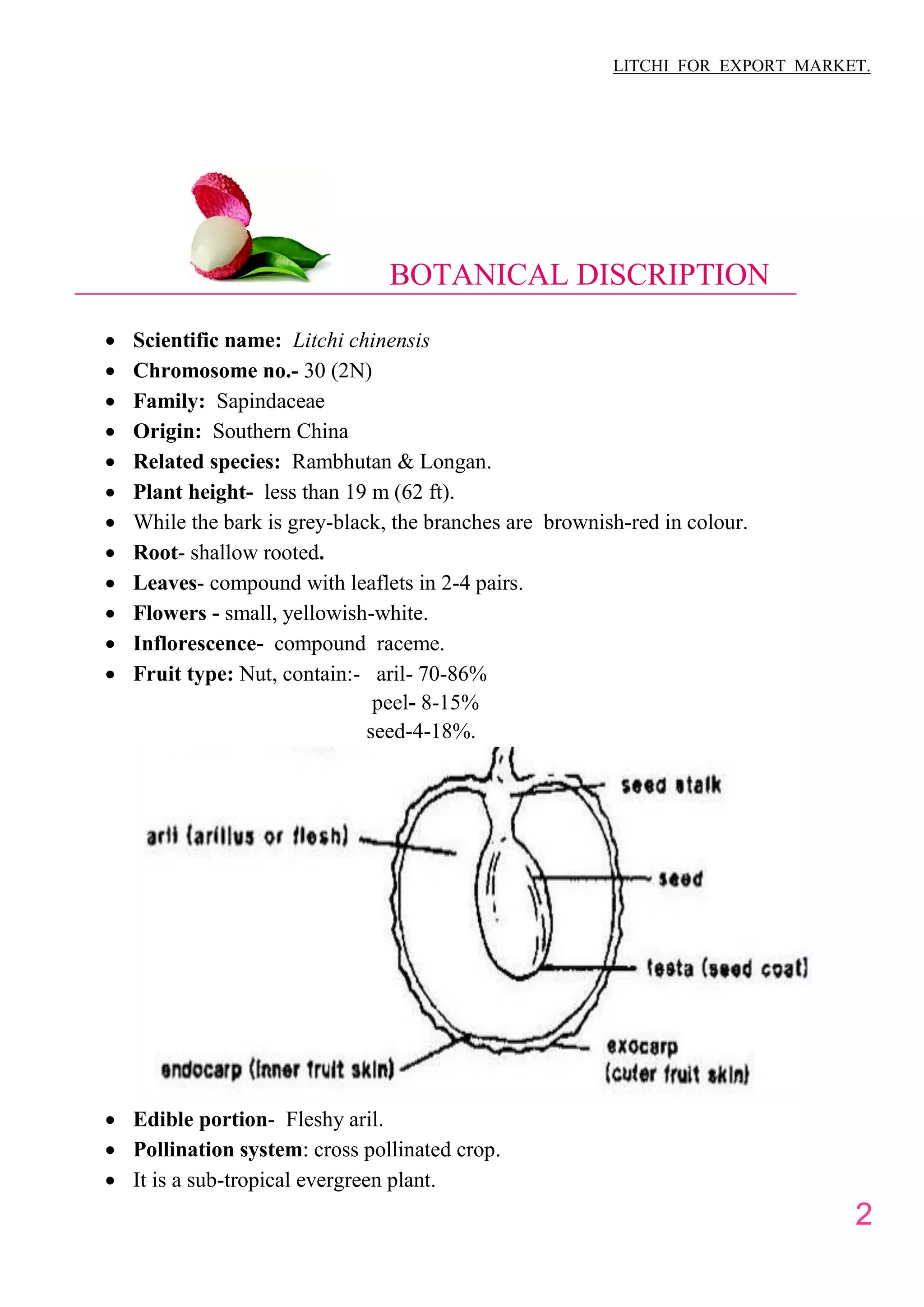 Litchi production for export market | PDF