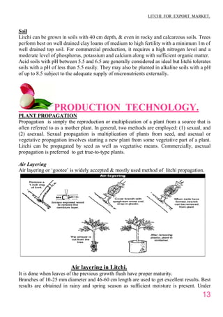 Litchi production for export market | PDF
