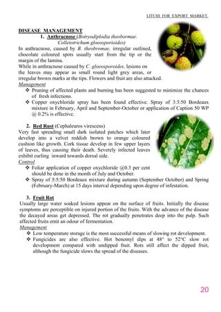Litchi production for export market | PDF
