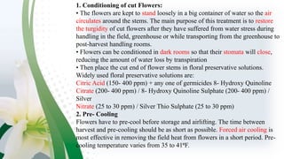 Post harvest management of lilly | PPTX